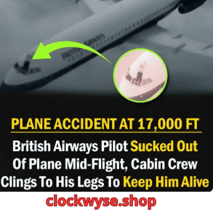 The Unbelievable Survival of Captain Tim Lancaster: How One Pilot ...